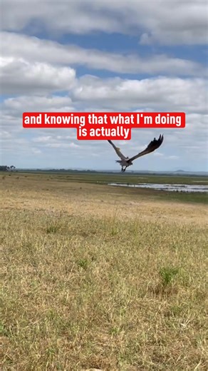 From first rescues to hidden nests. From long days tracking raptors in Big Five landscapes to soaring above baobab-dotted plains in a two-seater aircraft. 2025 marked a defining year for Liam Taylor, Field Officer in the Endangered Wildlife Trust’s EWT Birds of Prey Unit, working hands-on with endangered species, supporting rescues, collecting vital samples, and monitoring raptors where few people ever go. It’s fieldwork. It’s science. It’s the kind of conservation that turns lifelong dreams int