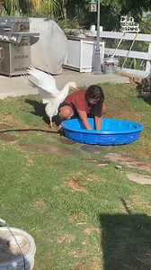 307K views · 2.5K reactions | "Get wrecked mom!" 閭 | Try Not to Laugh | Facebook