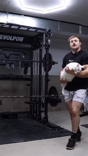 6.6K views · 1.1K reactions | Jump squats . Follow me for more cats and gym : @pandsfitness . USE CODE: CATDAD @bxactiv @wolfpak.official . #Lift #cat #evolpow #evolpowfitness #gymcat #cute #kitty #gymkitty #meow #catsofinstagram #mew #buff #gym #gymlife #buff #power #powerlifting #powerlifter #fyp #wolfpak #body #bodybuilder #bodybuilding #weights #weight #gym #gymlife #motivation #reels #muscle | Pandsfitness | Facebook