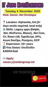 Senior Net Developer November 4, 2025