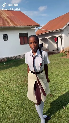 Chipmunk Infestation and Cute Fairy Trends