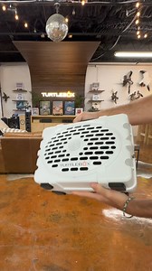 Which color are you choosing? | Turtlebox