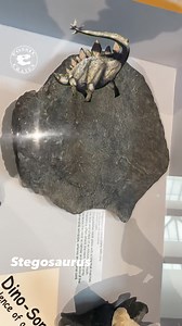 168K views · 727 reactions | Ouch! These original #Stegosaurus...