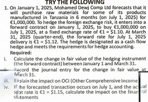 Hedging Foreign Exchange Risk for Raw Materials PurchaseMoham... | Filo