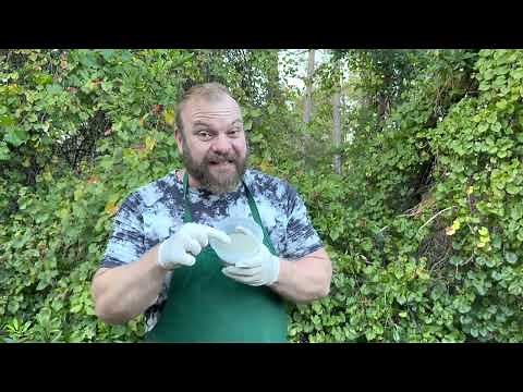 Our Preferred Cement Mix- Making Concrete Statues 101