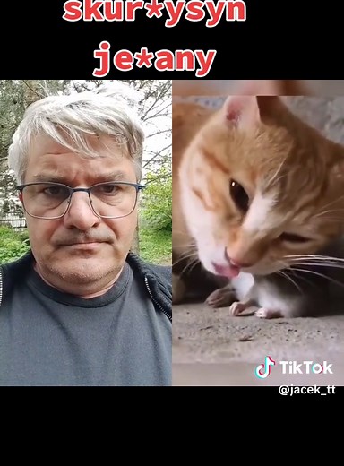 Cat Catches Mouse in Garden: Nature's Instincts