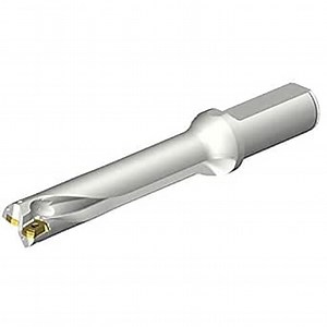 Sandvik Coromant 0.875"Dia, Ds20-D2223Lx25-05, Corodrill Ds20 Indexable Insert Drill, 4.401" Drill Depth, 1" Cylindrical Shankinsert Size: Ds20-0306-C & Ds20-0306-P (Pack of 1)