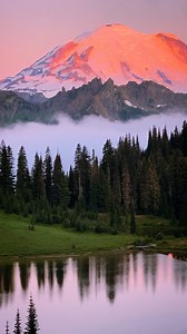 Volcanos of the Pacific Northwest 🌋🌲 These clips feature Mount Rainier, Mt Baker, Broken Top, and Mt Shasta. They’re all amazing and unique in their own ways. It’s crazy to imagine one of them erupting. Regardless, they are must see mountains, especially during the summer for endless hiking adventures 🤟🏼 #washingtonstate #mtrainier #pnw #summer #pacificnorthwest #adventure #sunrise #hiking #nationalpark | Ryan Resatka