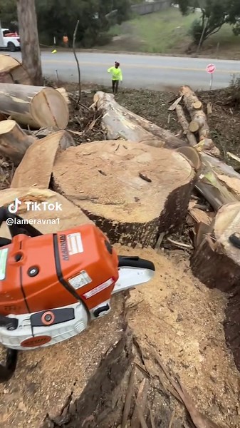 #arboleros🌲👊 #california #logger #treeclimber #sthil | arborist
