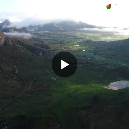 #cirad #landtenure #sustainabledevelopment #landpolicy | CIRAD