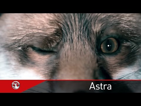 LED Matrix Headlights | Astra | Vauxhall