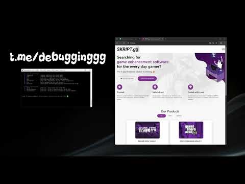 Space mirai Botnet vs skript.gg