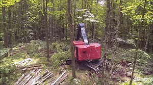 1.5K views · 53 reactions | TN725C with a JP Skidmore CF-22 processing head. | TimberPro Inc | Facebook