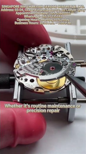 When Time Becomes Art · Classics Turn Eternal ✨ #rolexwatch #omega #patekphilippe #rolex