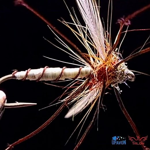 Daddy Long Legs (Crane fly) fly pattern - Show case fly tying short