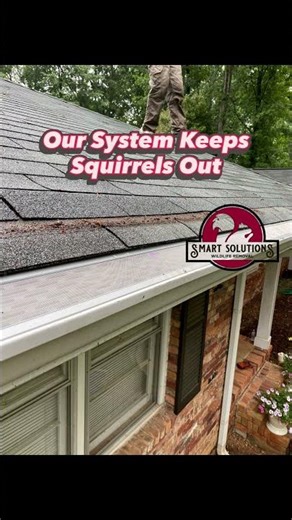 Most Gutter Guards Fail – Ours Keep Squirrels Out(Save $150!)