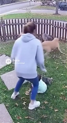 best dog protector 😲 #dogs #doorcam #rescue #protector