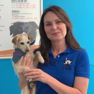 💅 We're thrilled to announce we've partnered with Polished Man to bring you Polished Pets! 💅 This month, you and your pet can sign up and fundraise to help end violence against children. Here's how you can get involved: 1️⃣ Visit your local PETstock grooming salon to get your pet's nail painted blue. It costs just $2 and all donations go directly to Polished Man. 2️⃣ Share your pics on socials with the hashtag #polishedpet 3️⃣ Head to http://bit.ly/signuptodaypolishedpet and sign up with your 