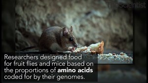 5.6K views · 102 reactions | Read the full story about using animals'...