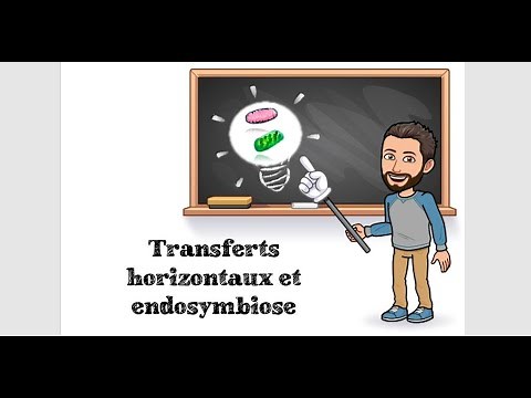 HORIZONTAL TRANSFERS AND ENDOSYMBIOS - #9 TSPÉ SVT