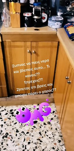 What to Do When You See a Cockroach in Your Kitchen?