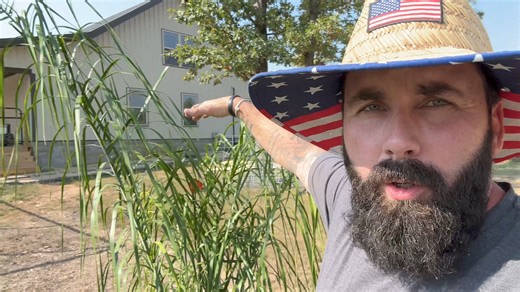 5.2K views · 436 reactions | Processing Day! M&M Custom Butchering | Doss Farms | Facebook