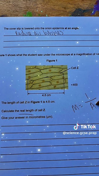 Science GCSE prep on TikTok