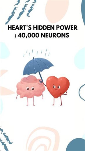 The Quantum Physics Secret Behind Manifestation That Actually Works