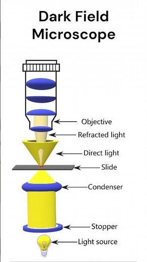 Dark field microscope #animation #csirnetgate #neet