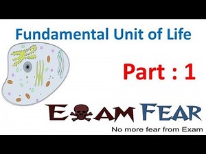 Biology Fundamental Unit of Life part 1 (Introduction & Discovery of Cell) CBSE class 9 IX