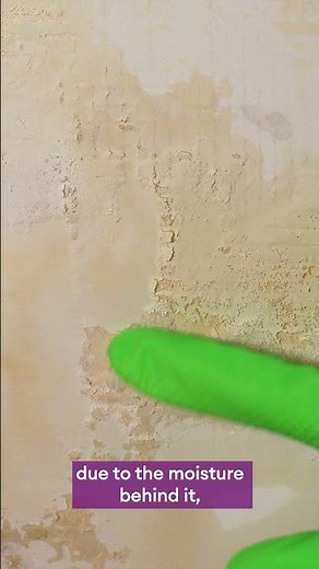 How to identify damp and mould | DIY guide to spot moisture problems