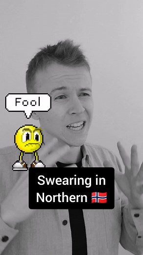 Swearing in Northern Norwegian: Exploring Common Profanities