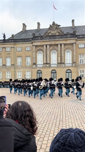 Royal Guards in Action