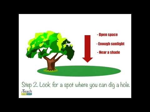 How to Make Compost Pit