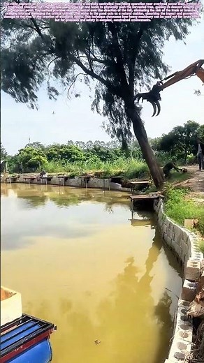 Felling with Finesse: How an Excavator Guides Trees Away from Danger