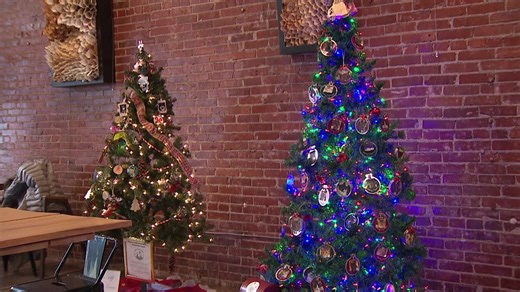 Pick your favorite Christmas tree and donate to a charity
