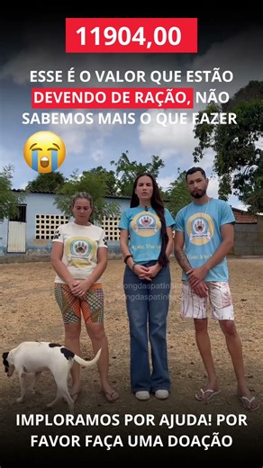 #pets #viralata #amoanimais #cachorro #lovepets #cachorrosdivertidos #causaanimal