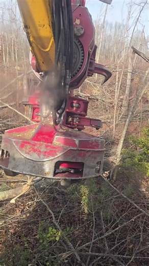 #cutterman #logger #fyp