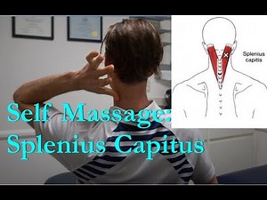 Self Massage: Splenius Capitus (back of neck)
