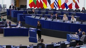 Presentation of the proposal on a new common approach on returns: MEPs debate (part 2) - Multimedia Centre