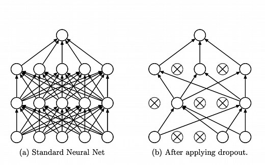 15、Dropout原理以及其TF/Torch/Numpy源码实现