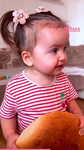 234K views · 3.8K reactions | These tiny pros climb like champions! ️朗#fblifestyle | Joemar Mandid | Facebook