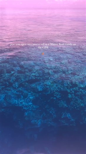 POV: a Master Reef Guide on the Great Barrier Reef 🪸 Filmed and edited by @tillyshepherd (@travellingtil) from Freedom Fast Cats | Master Reef Guides
