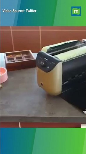 Printer या डोसा मशीन! || Short || Dosa Maker || Evochef