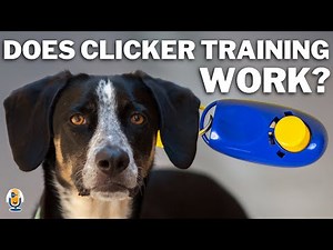 Clicker Training: Will It Work For Every Dog? #69