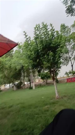 Scarlet Jones on TikTok