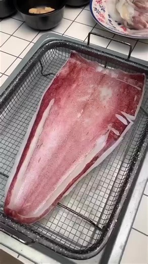 shining._.lady._.offica8 (@shining._.lady._.offica8)’s videos with original sound - Felito Solucion