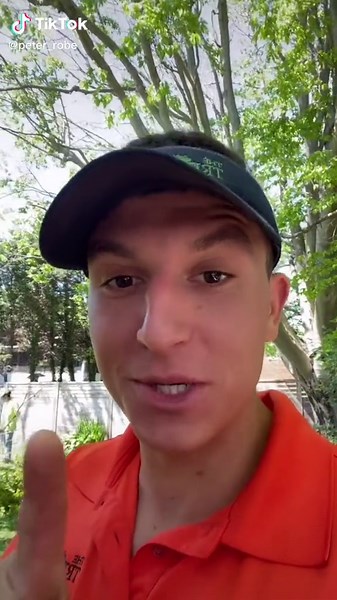 Expert Tree Removal Services for Your Business | Peter Zrobek