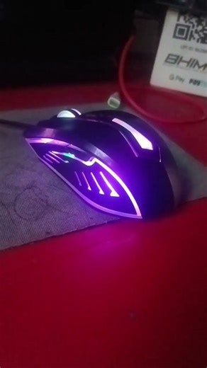 world most expensive mouse