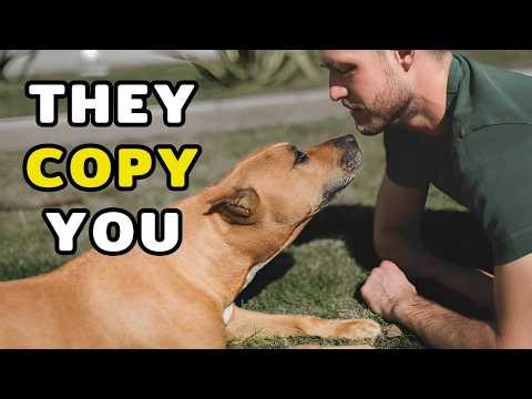 Your Dog Learns These 7 Things From You Every Day